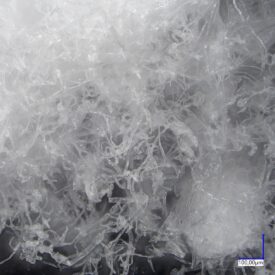 Pure white cellulose fibres for technical products