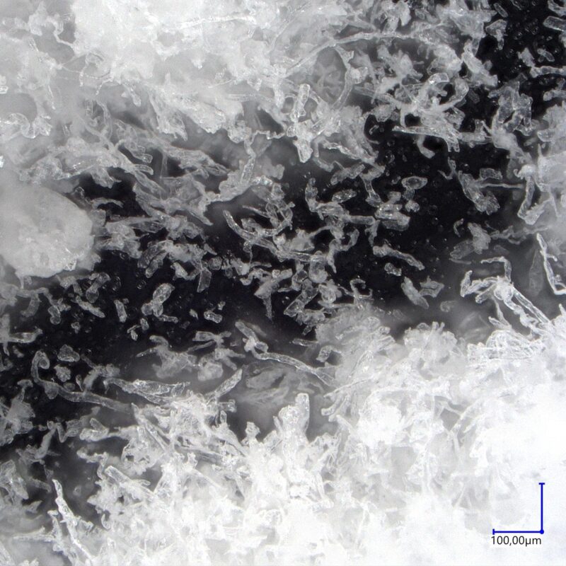 Pure white cellulose powders for technical products