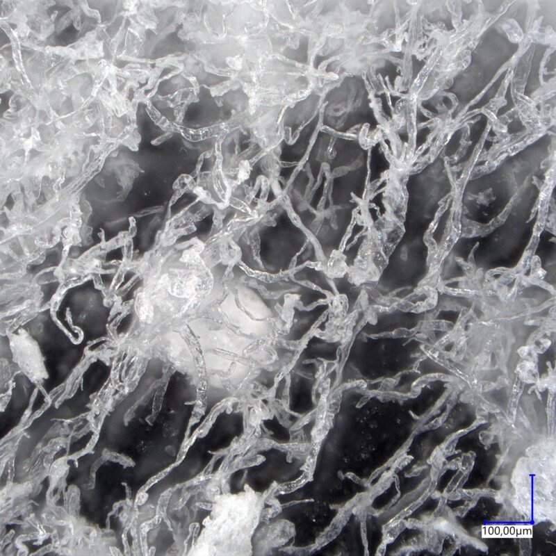 Pure white cellulose fibres for technical products