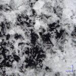 Pure white cellulose powders for technical products