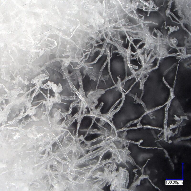 Highly effective functional cellulose fibres for manufacturing food