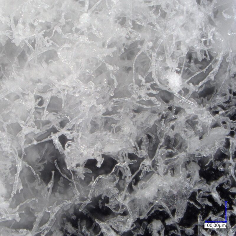 Highly effective functional cellulose fibres for manufacturing food