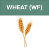 JELUCEL Wheat fibres - JELU-WERK